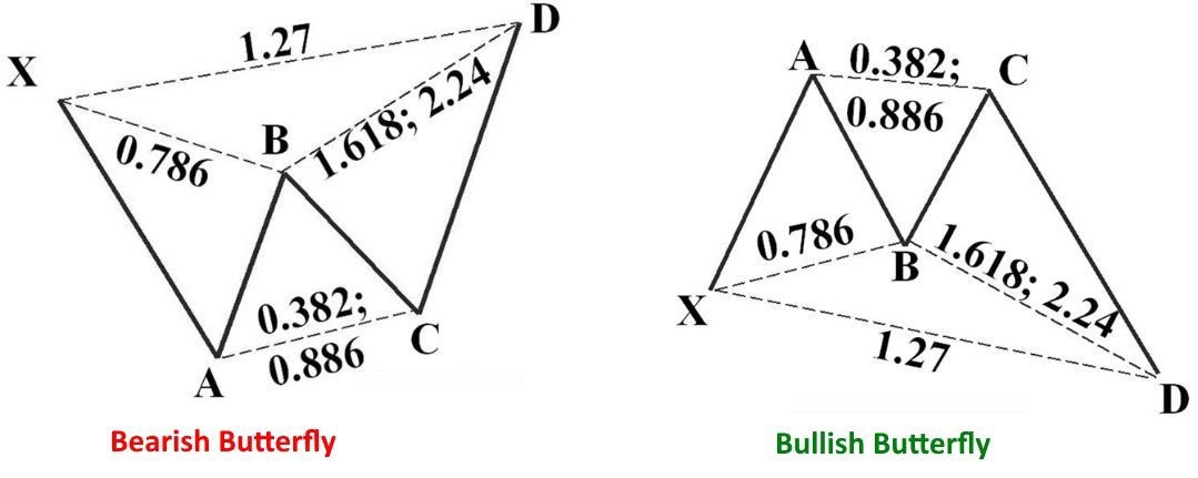 Formacja harmoniczna Motyla | Fibonacci Team School